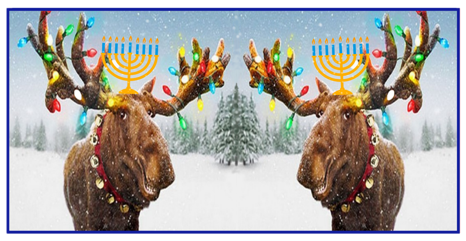 Update for Moo Moo – Tabby's Place