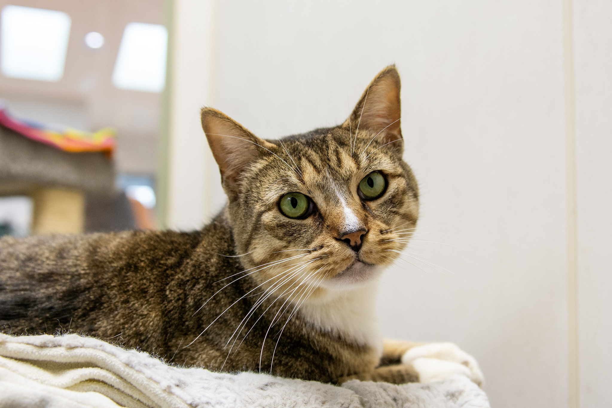Ned, Jed, and daily bread – Tabby's Place