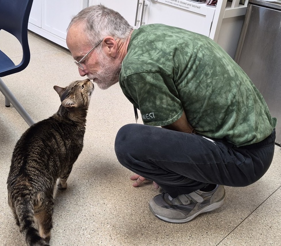 Kitty LeFey’s Cosmos: Wee Little Winky – Tabby's Place